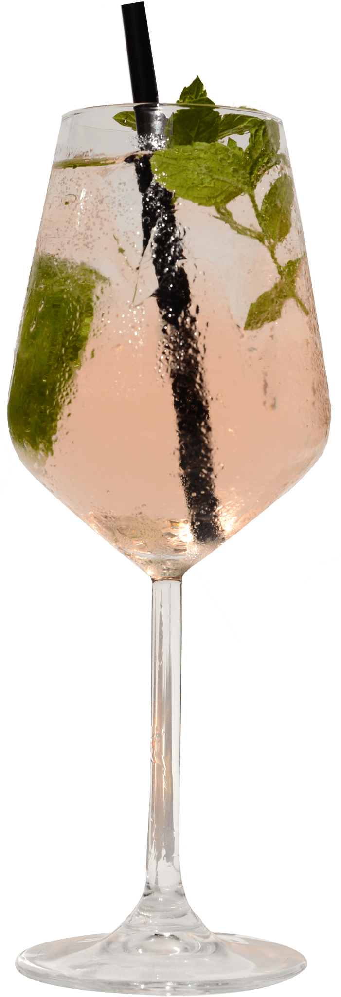 Pink Gin Spritz | Drinks & Cocktails | drinkdirect.ch
